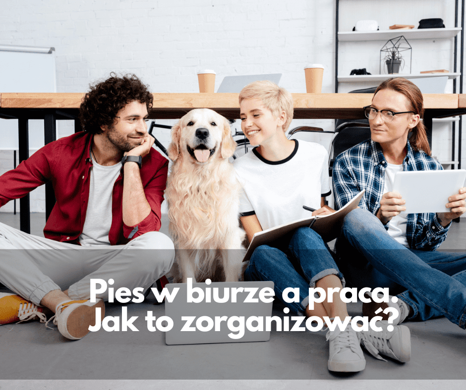 Pies w biurze a praca - Jak to zorganizować? - Grupa Progres